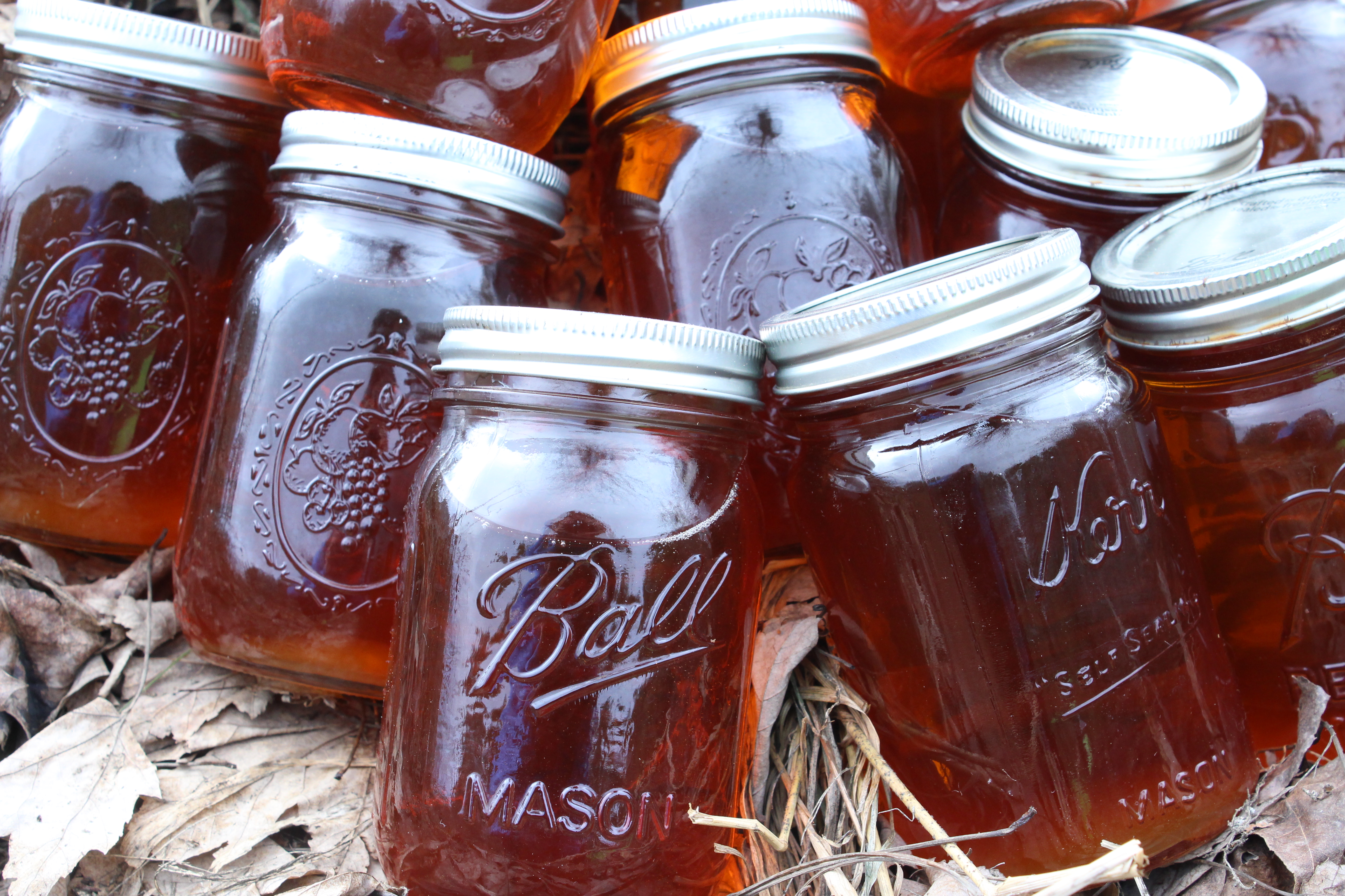 Sneak Peek! Our Syrup Season from Start to Finish in 264 seconds ...