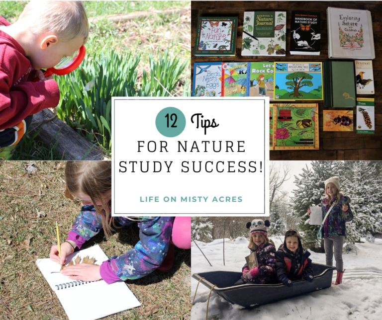 12 Tips for Nature Study Success! - Life on Misty Acres