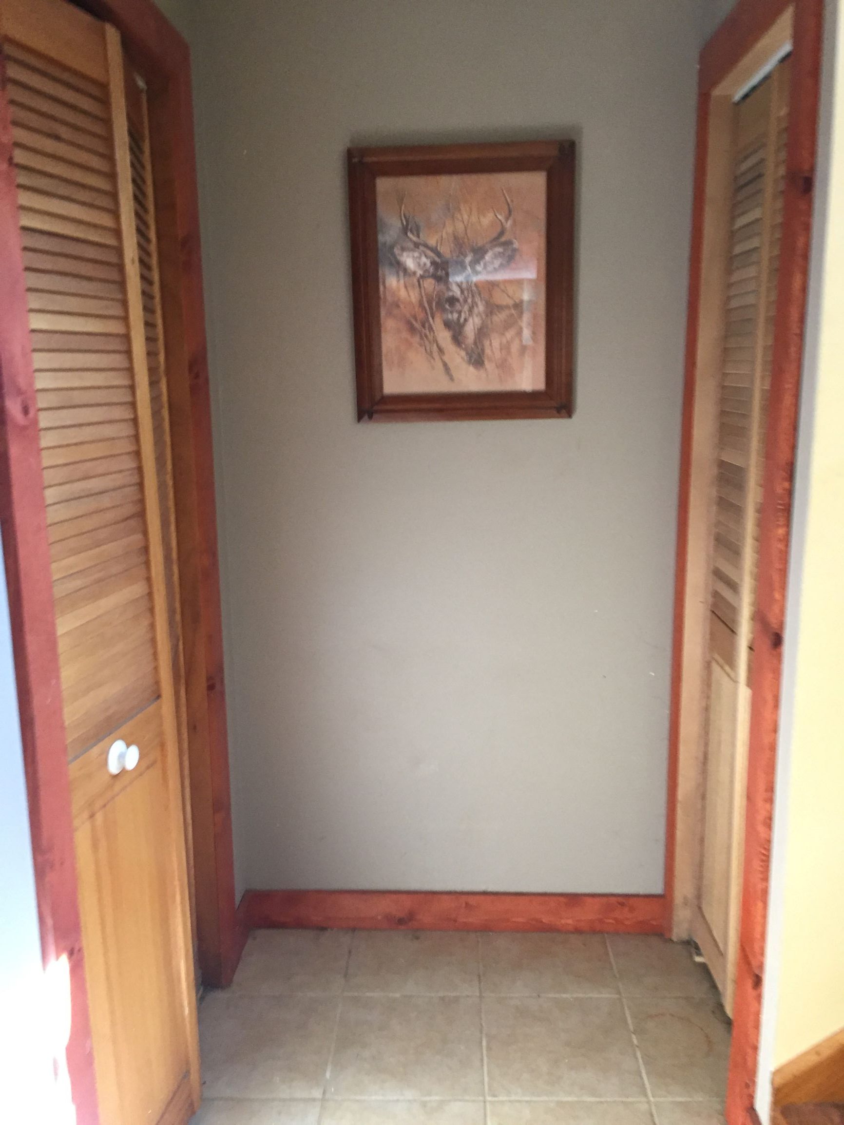 16 Seeds I am Excited to Grow This Year - Life on Misty Acres