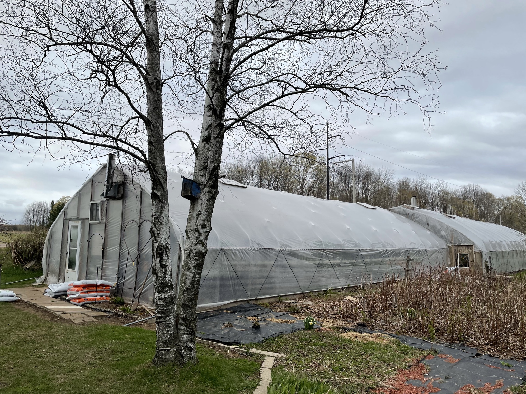 What’s Happening on the Farm- a year in review - Life on Misty Acres
